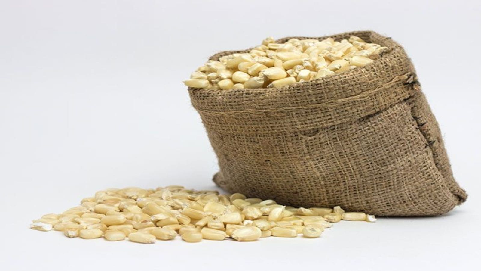 Egypt plans to purchase maize for the first time in history to boost ...