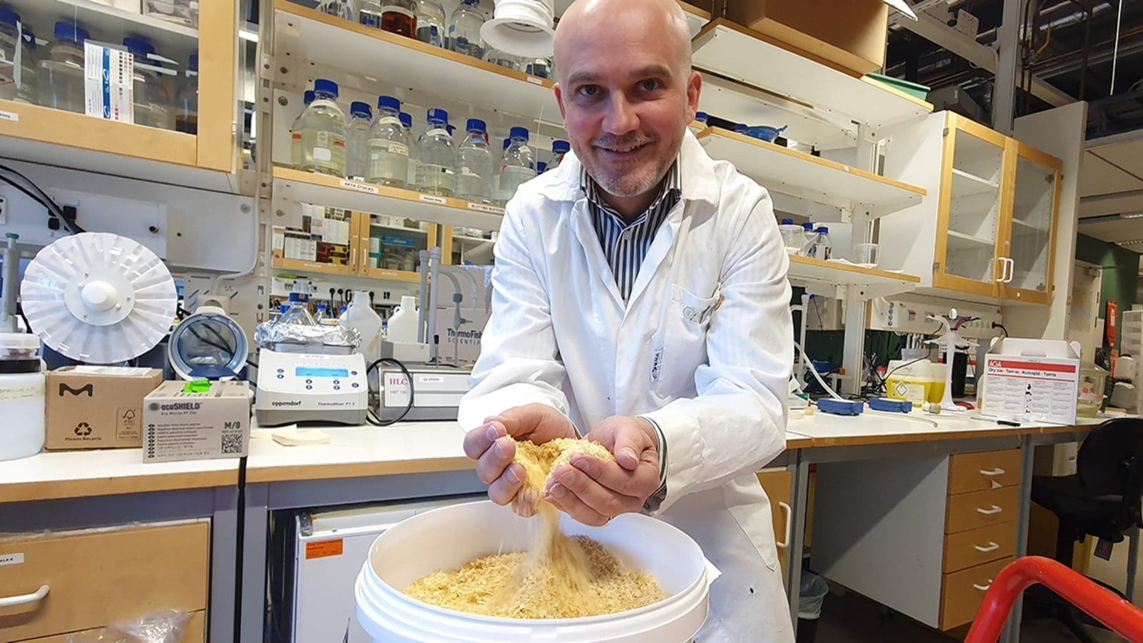 Tackling food waste: Scientists develop a new way to extract ...