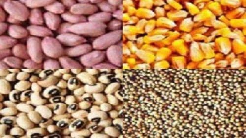 Togo’s cereal production for 2023/24 in jeopardy following steep rise ...