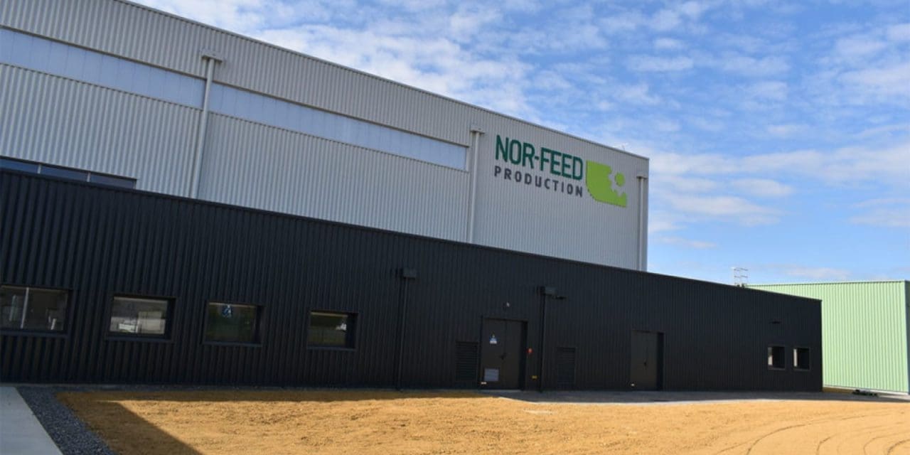 Nor-Feed elevates transparency with Life Cycle Assessment of citrus ...
