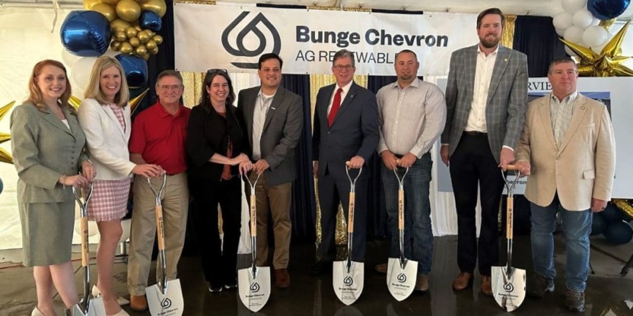 Bunge Chevron JV’s oilseed plant breaks ground in Louisiana, USA ...